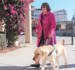 Service for Sight | Delta Gamma’s Commitment to Philanthropy